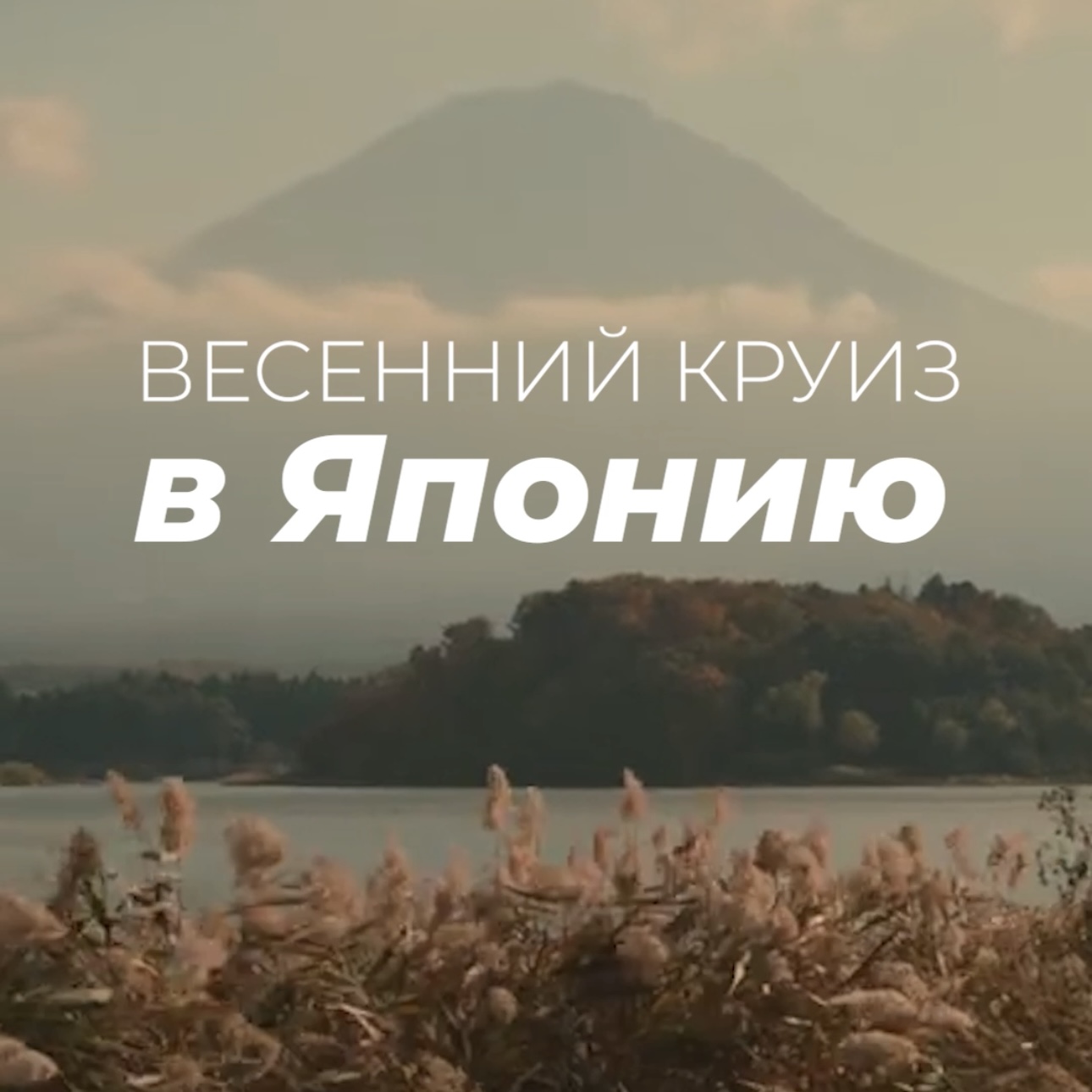 About us – Kazunion